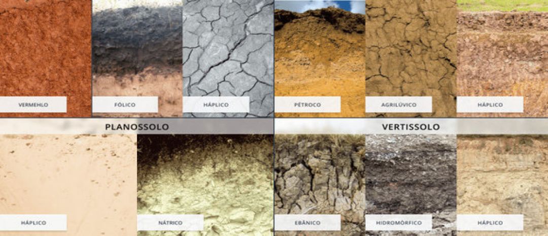 Solos – Clique Vestibular